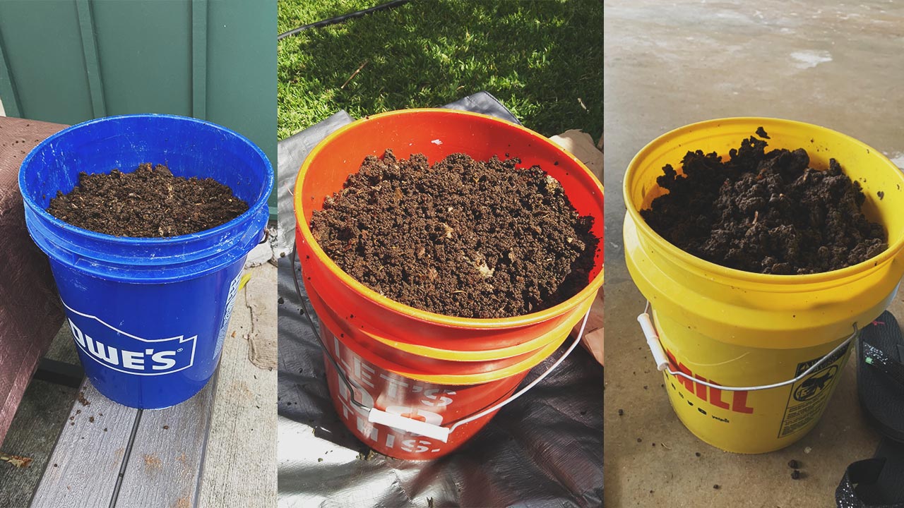 How To Use Your Vermicast | Zero Waste Worm Ohana